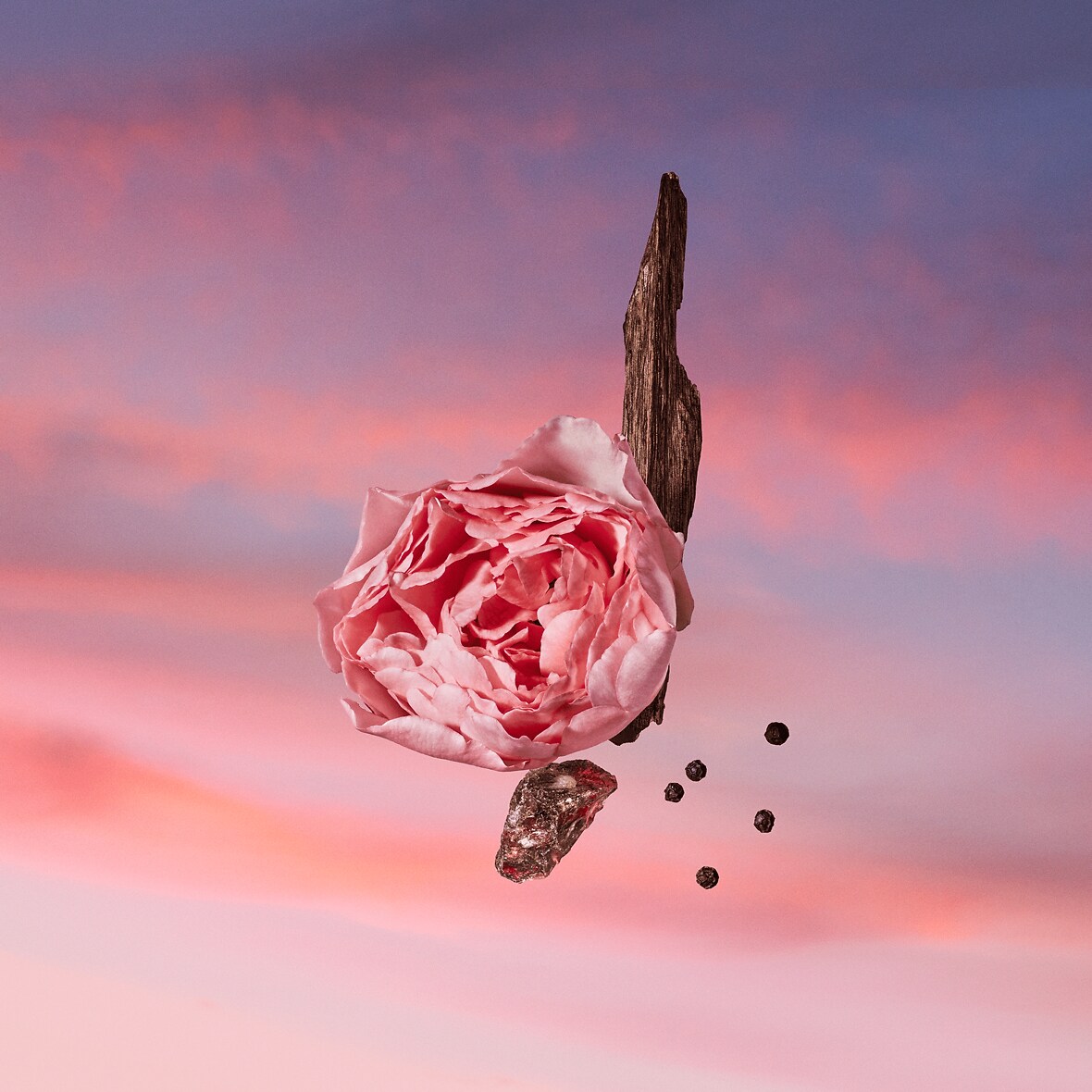 Les Sables Roses - Collections LP0120 | LOUIS VUITTON